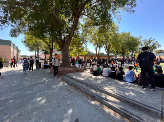 First Grading Period Comes to an End – Raider Review